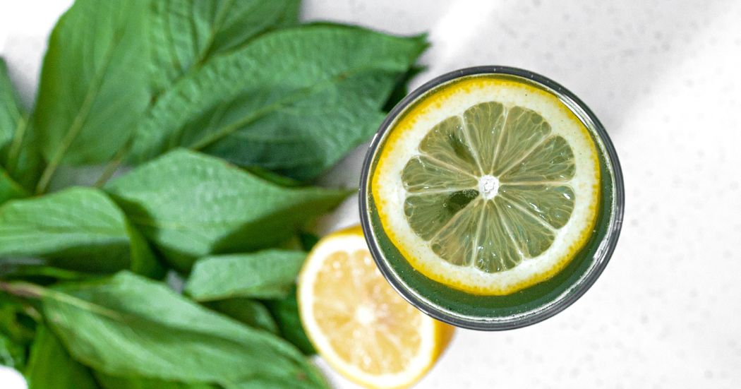 Solle Naturals | SolleVital® - 100 count